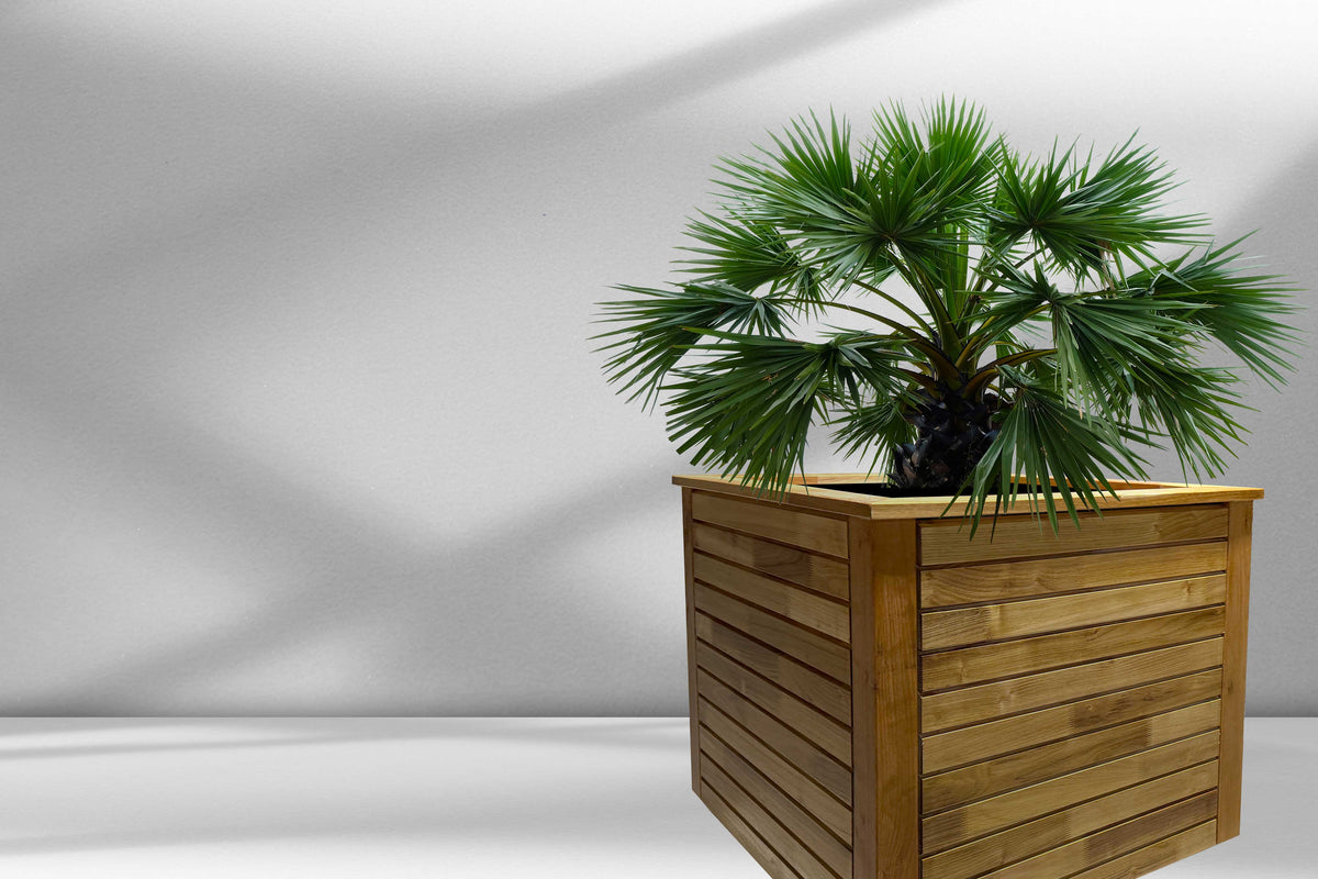 Robi-CUBE exklusiver Pflanzkübel & Hochbeet aus Robinienholz – ROBINIE ...